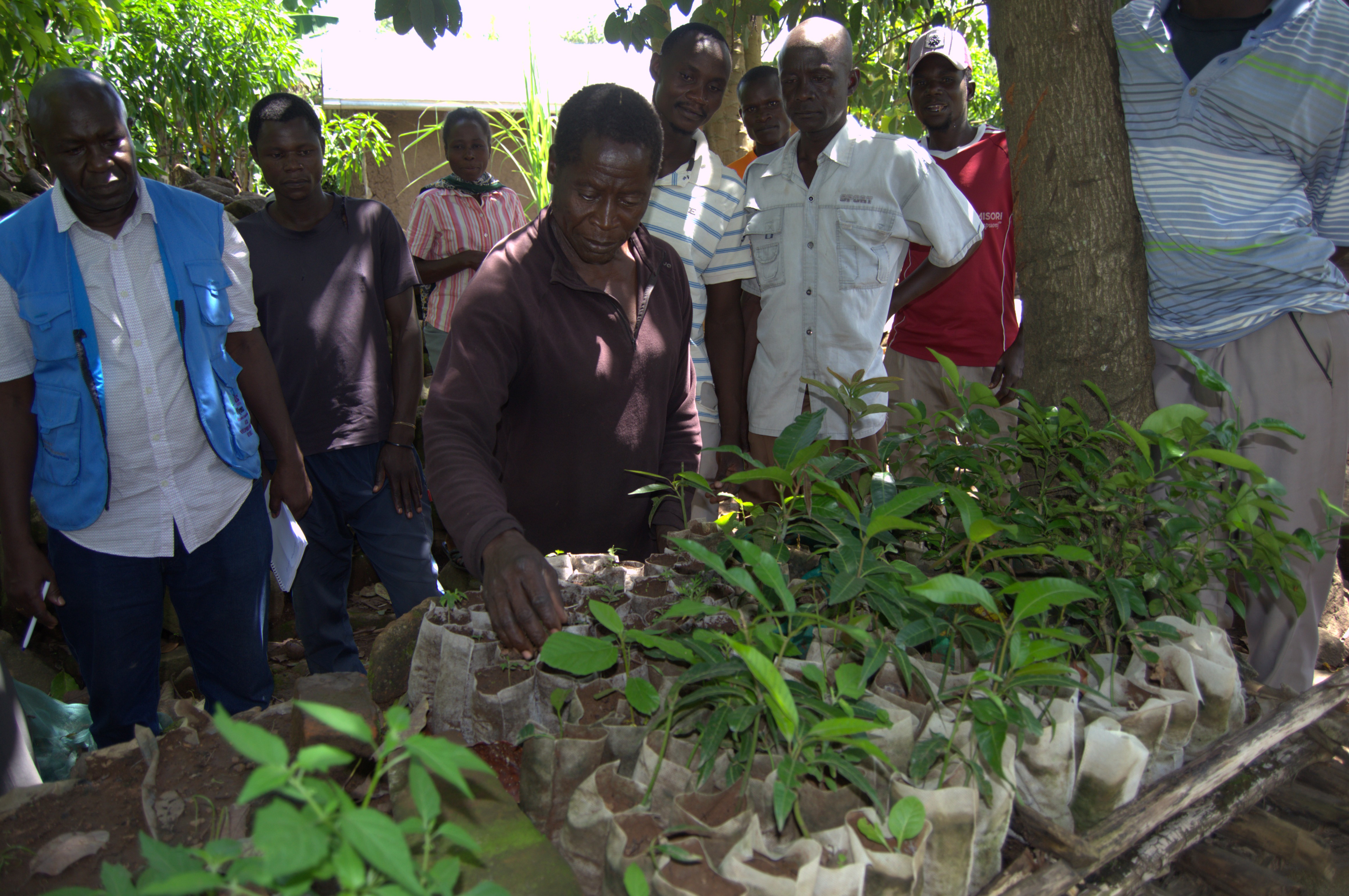 ADS NYANZA - Gallery