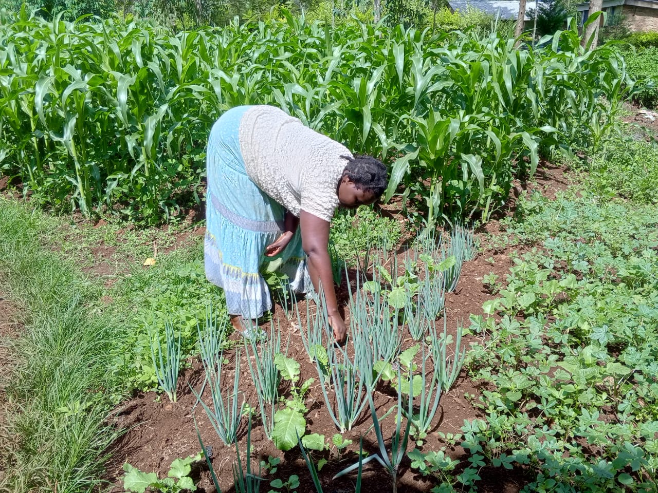 ADS-NYANZA - Climate Resilience
