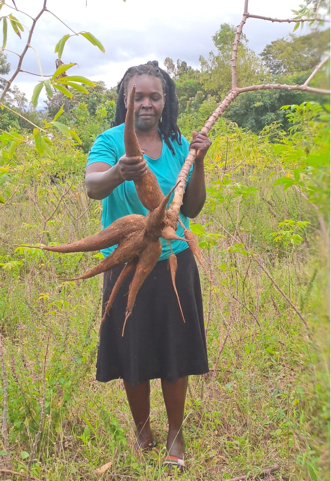 ADS NYANZA - Home